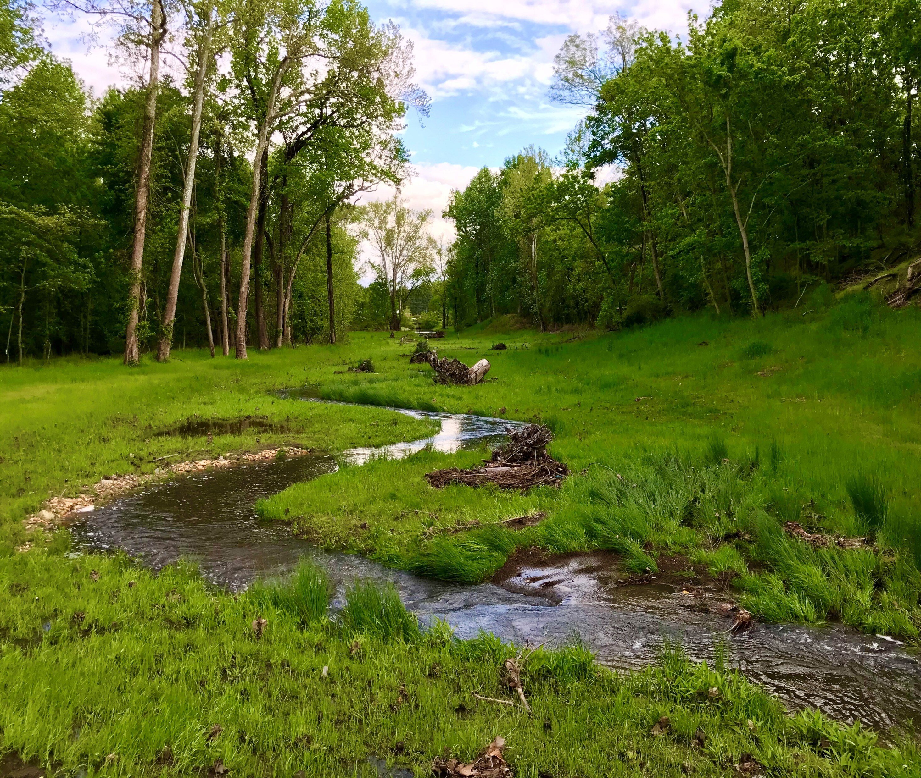 Stream mitigation performance standards